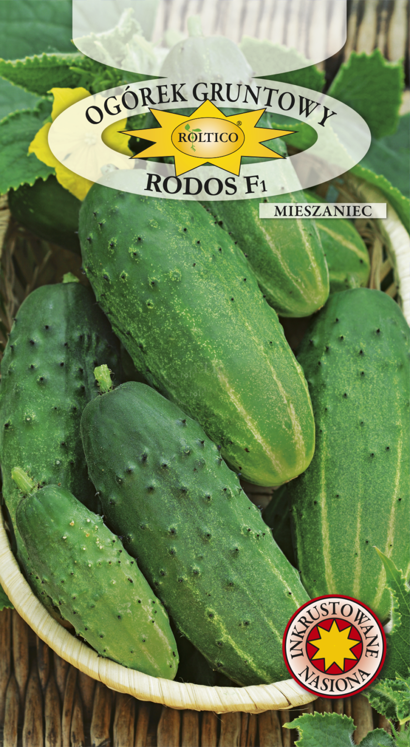 Nasiona Ogórek gruntowy Rodos - mieszaniec F1 - Nasiona | Roltico