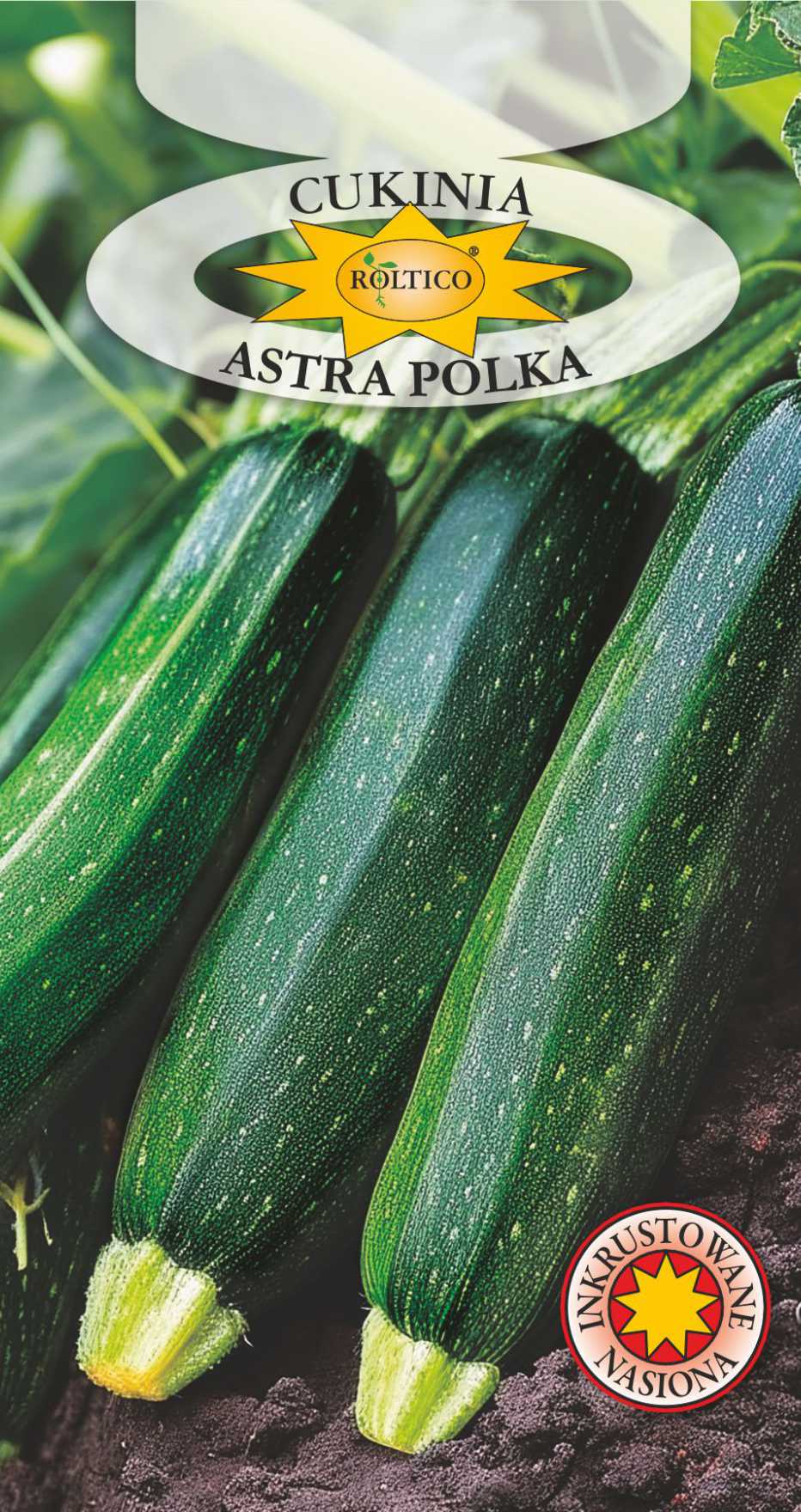 Nasiona Dynia Zw. Cukinia Astra Polka - Nasiona inkrustowane | Roltico